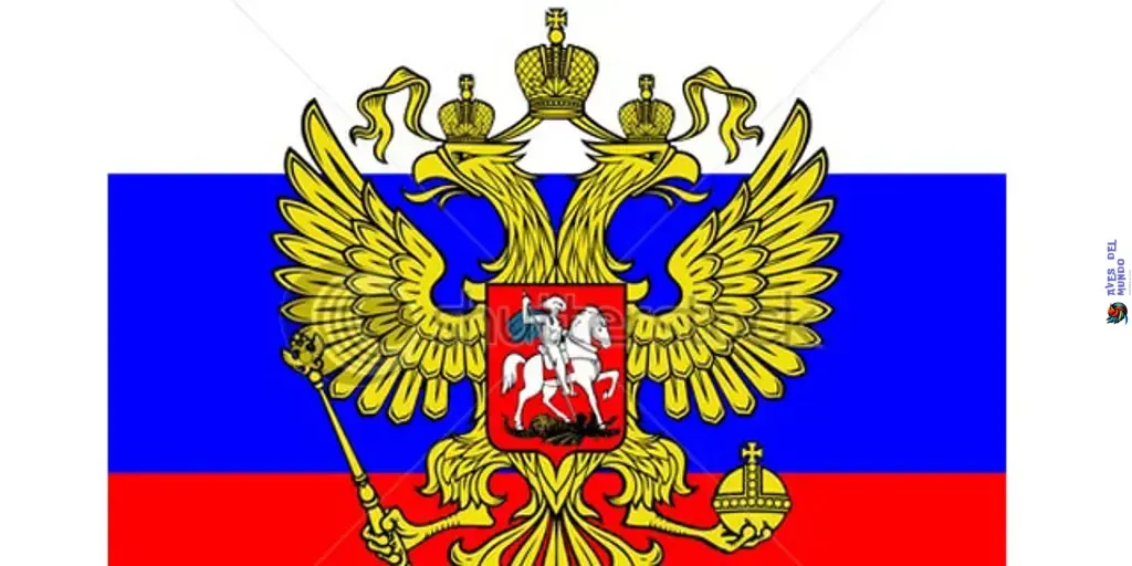 The National Bird of Russia: An In-Depth Exploration